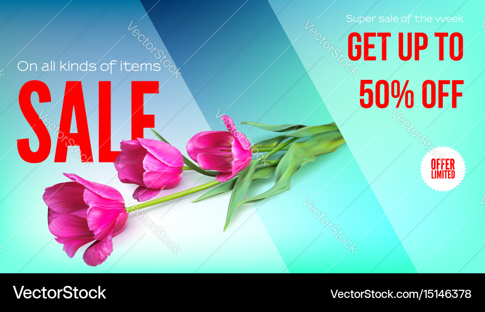 Sale summer get your discount horizontal Vector Image