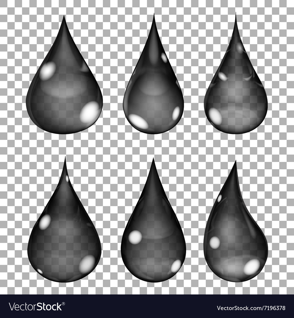 Transparent drops Royalty Free Vector Image - VectorStock