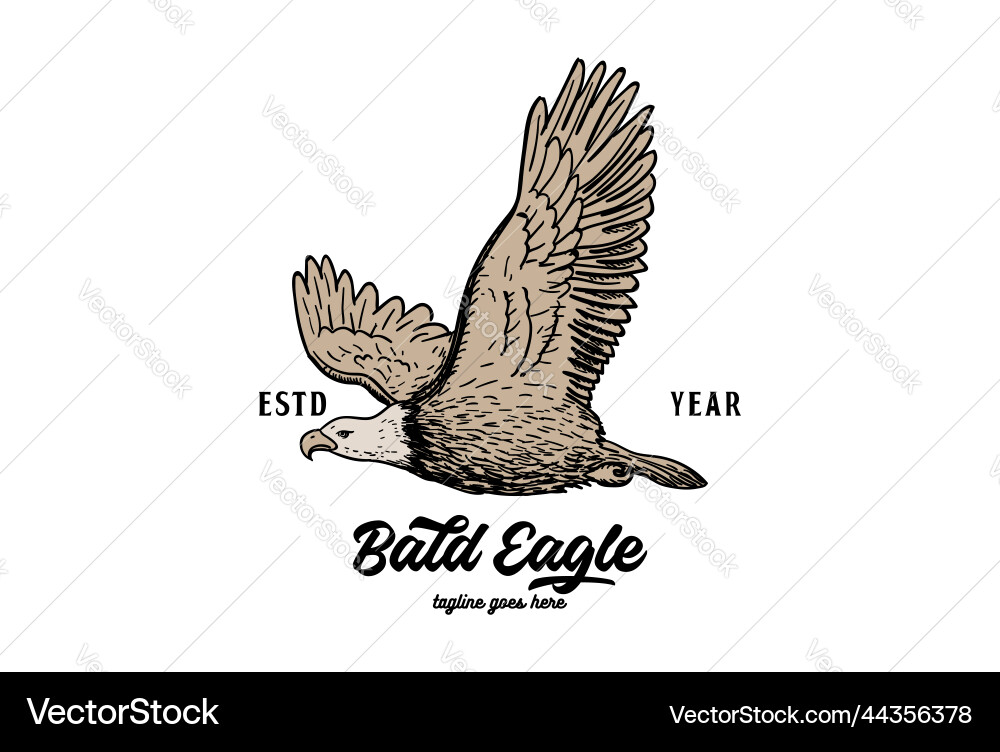 Vintage retro american flying bald eagle hawk Vector Image