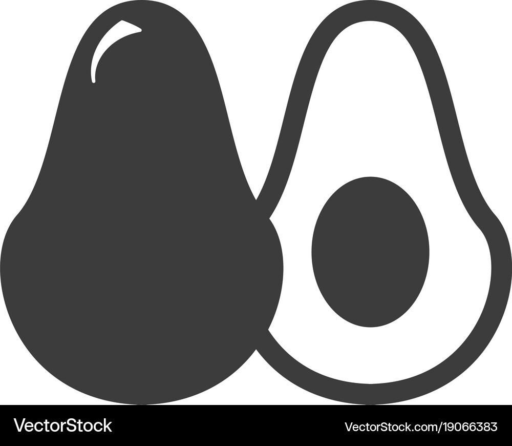Monochrome isolated avocado icon on white Vector Image