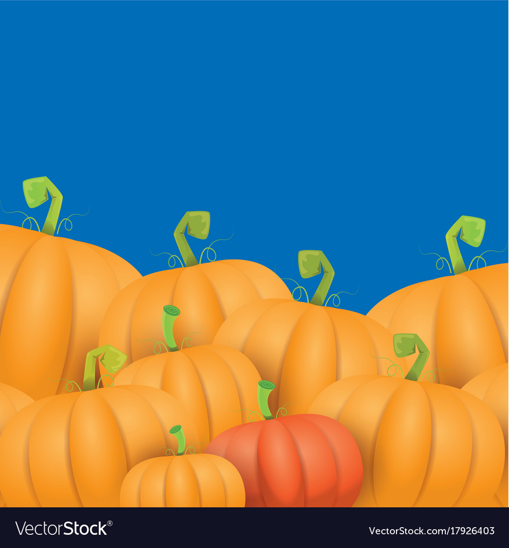 Autumn orange pumpkins border design Royalty Free Vector