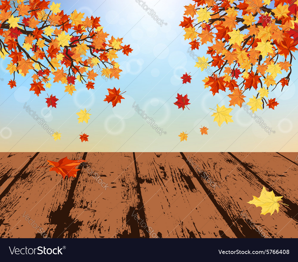 Maple fall Royalty Free Vector Image - VectorStock