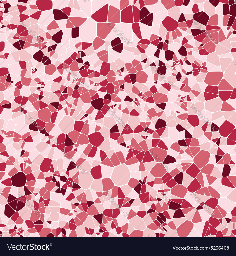 Stone cladding sidewalk pavement Royalty Free Vector Image