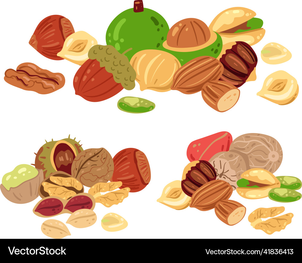 Group of different nuts cartoon hand drawn style Vector Image