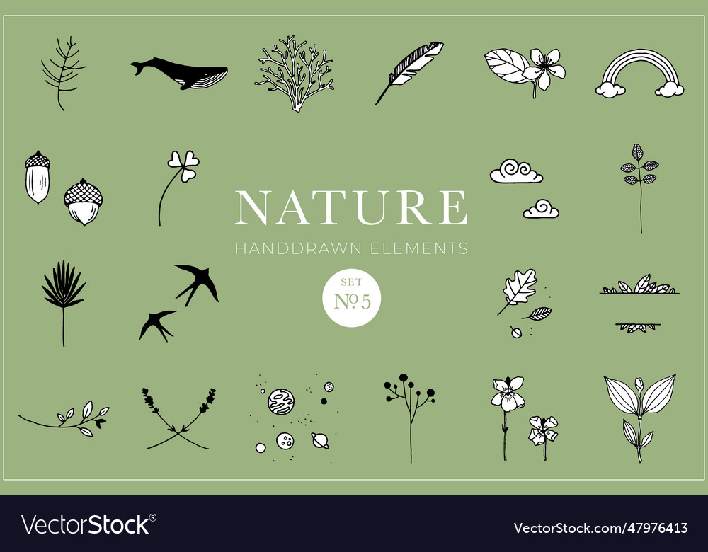 Handdrawn nature elements doodle Royalty Free Vector Image
