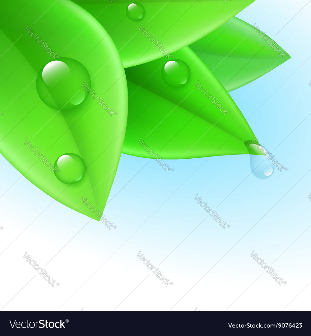 Purity Royalty Free Vector Image - VectorStock