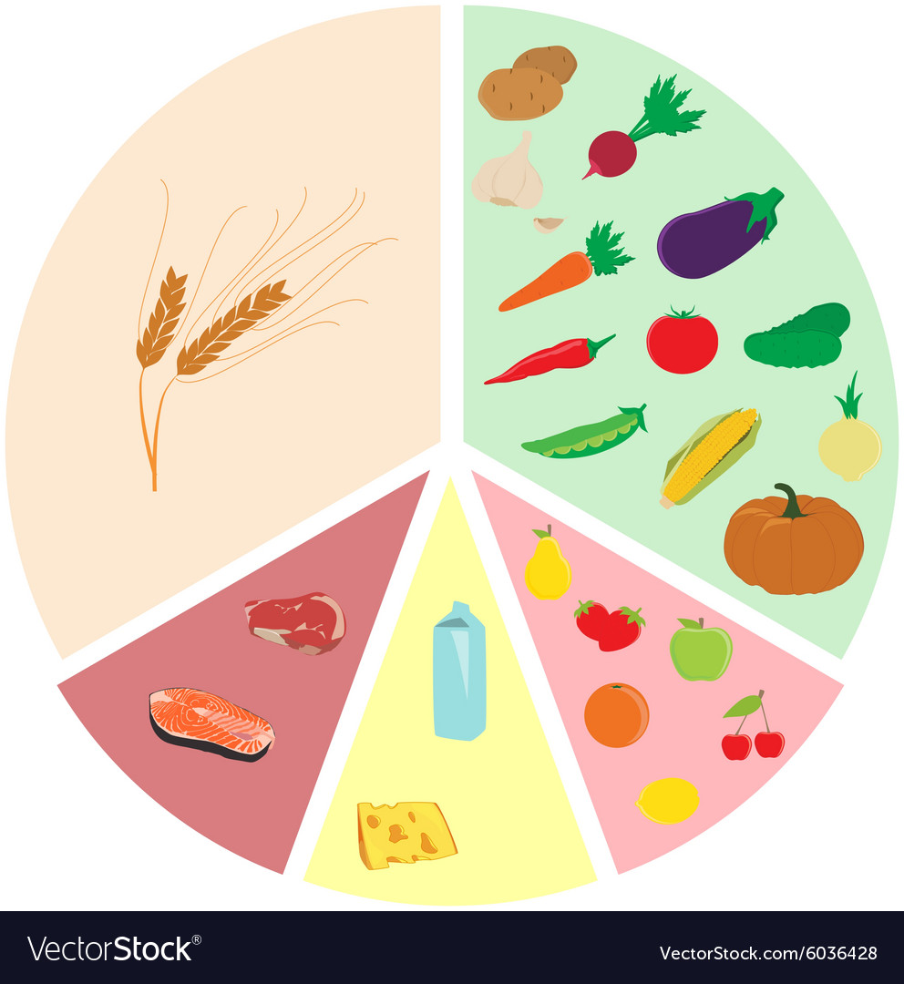 Healthy eating chart Royalty Free Vector Image