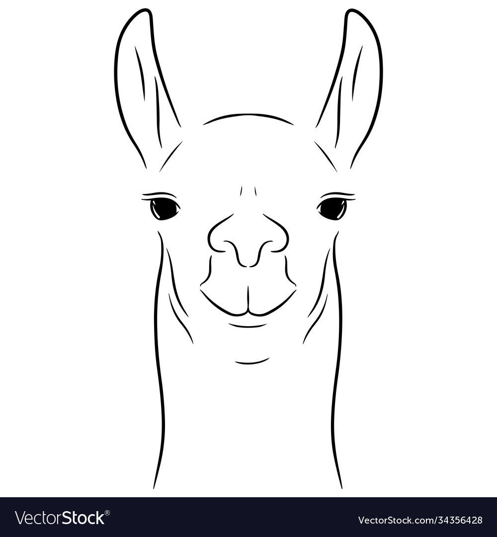Llama Royalty Free Vector Image - VectorStock