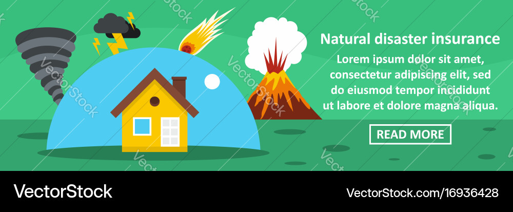 Natural disaster insurance banner horizontal Vector Image