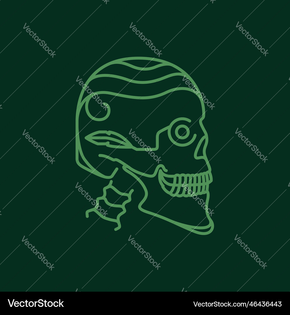 Skull cranium brain pan bones leaves nature Vector Image
