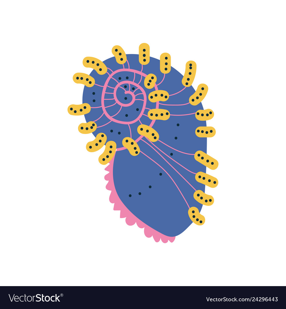 Tropical shell marine underwater blue seashell Vector Image