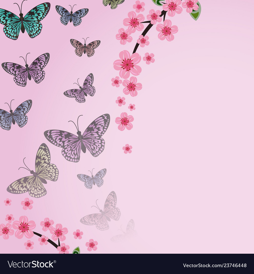 Butterflies flower floral summer spring frame Vector Image