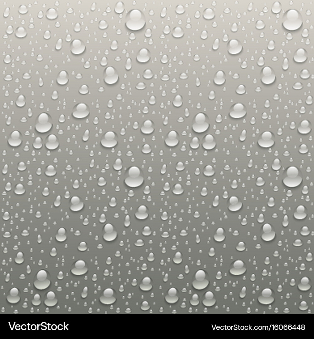 Drops of water on a grey background Royalty Free Vector