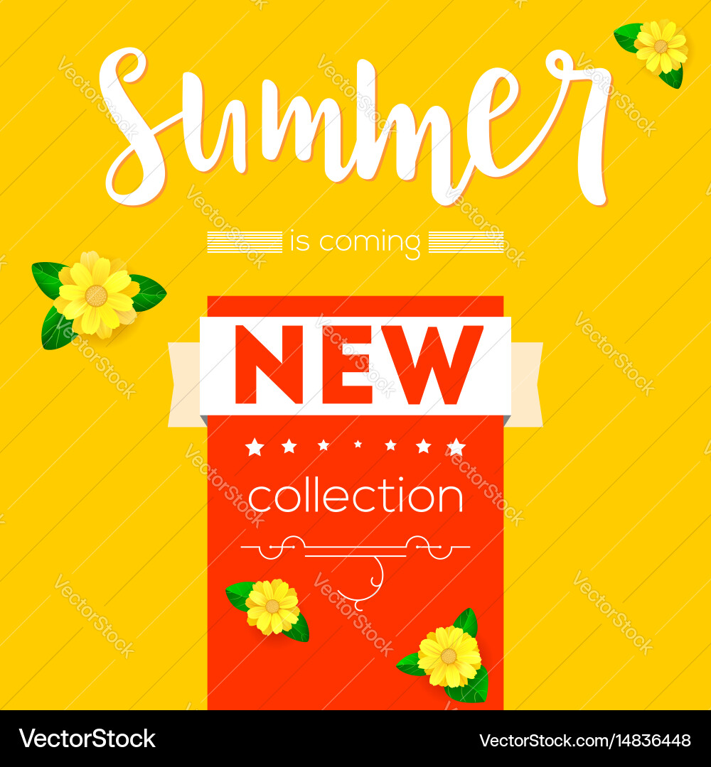 Summer new collection advertising banner text Vector Image