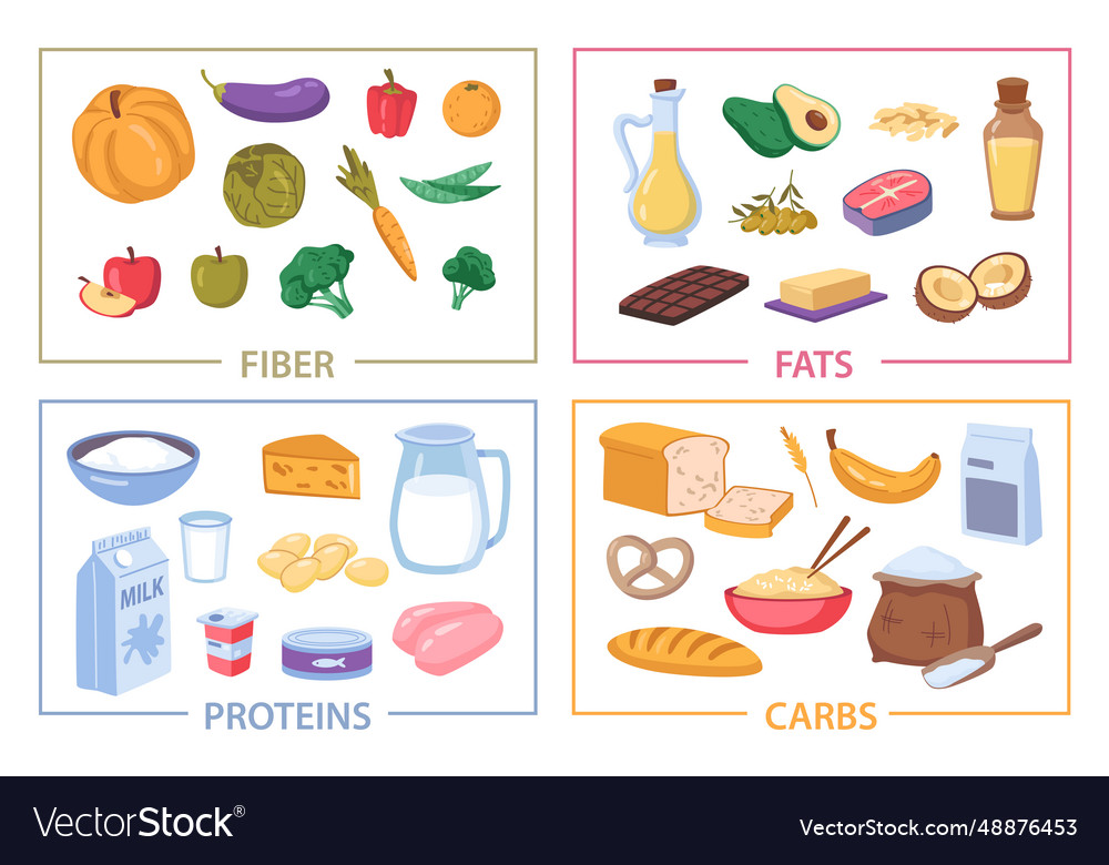 Fiber and fats proteins carbs dietary food Vector Image