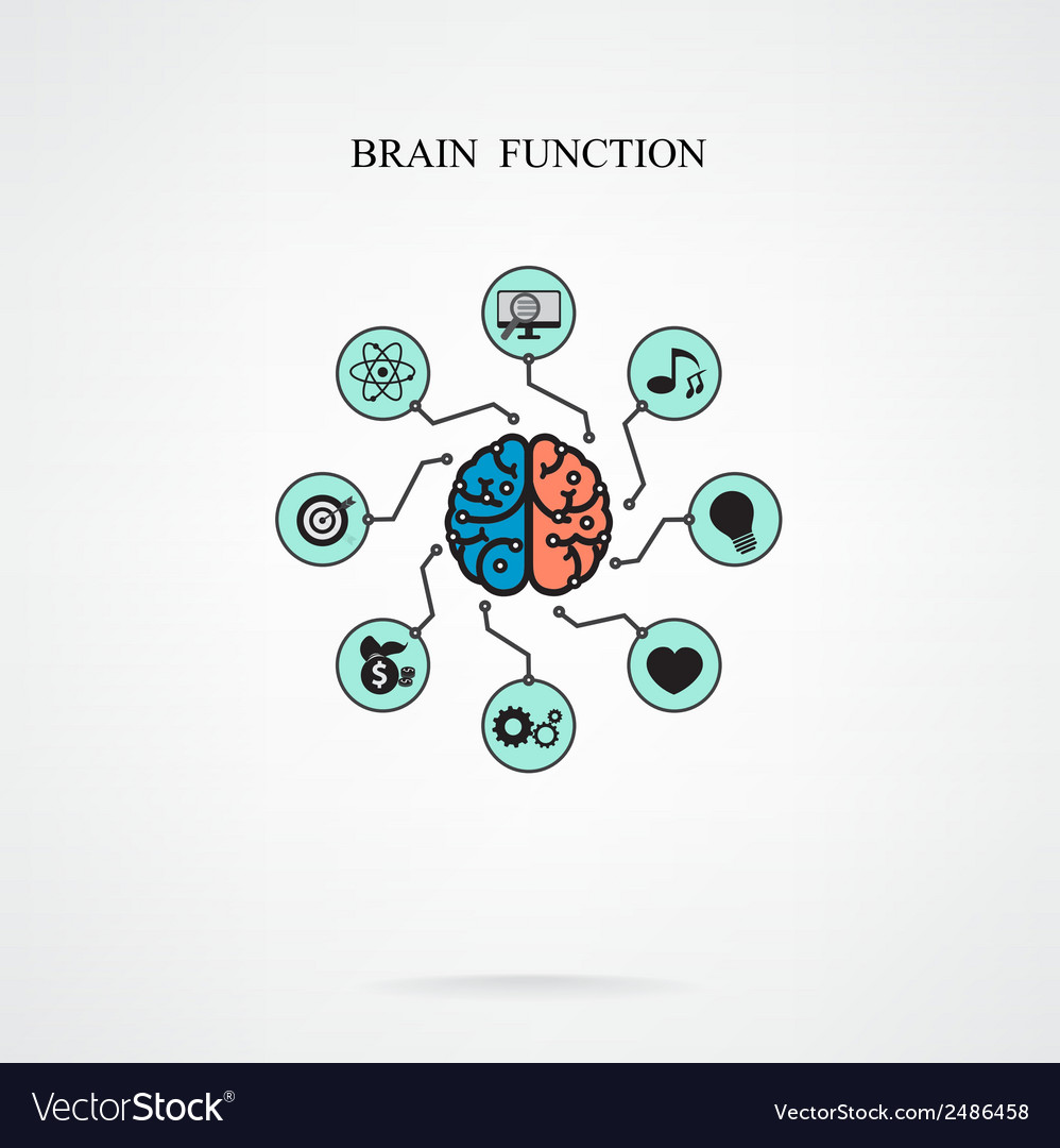 Brain function Royalty Free Vector Image - VectorStock