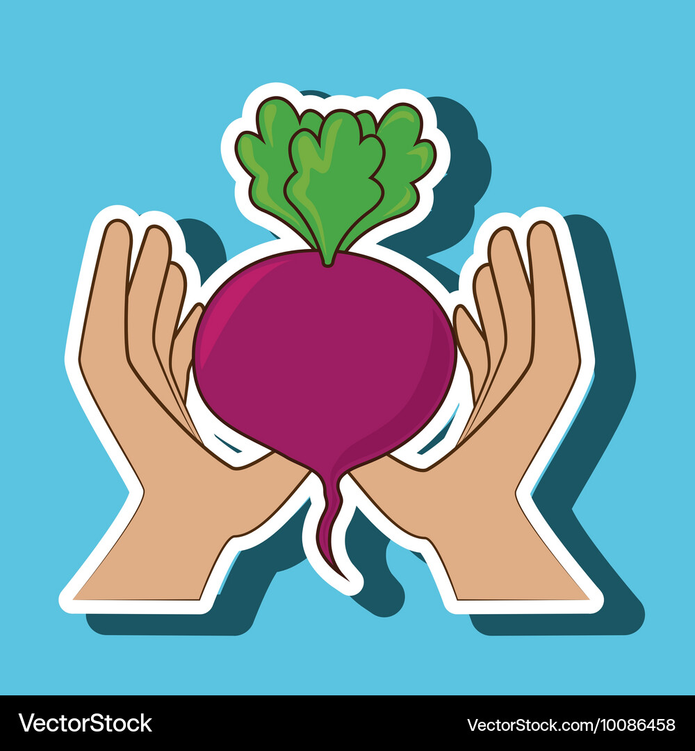 Hand food vegan vegetables Royalty Free Vector Image