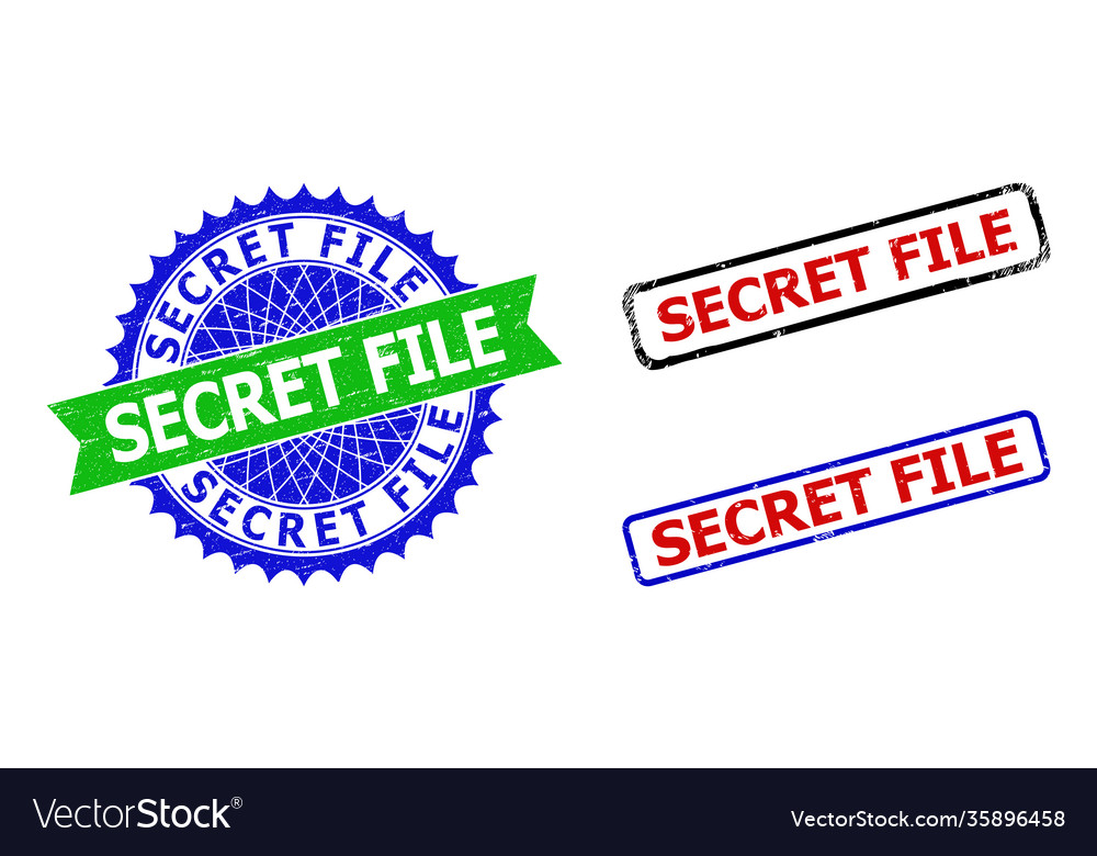 Secret file rosette and rectangle bicolor badges Vector Image