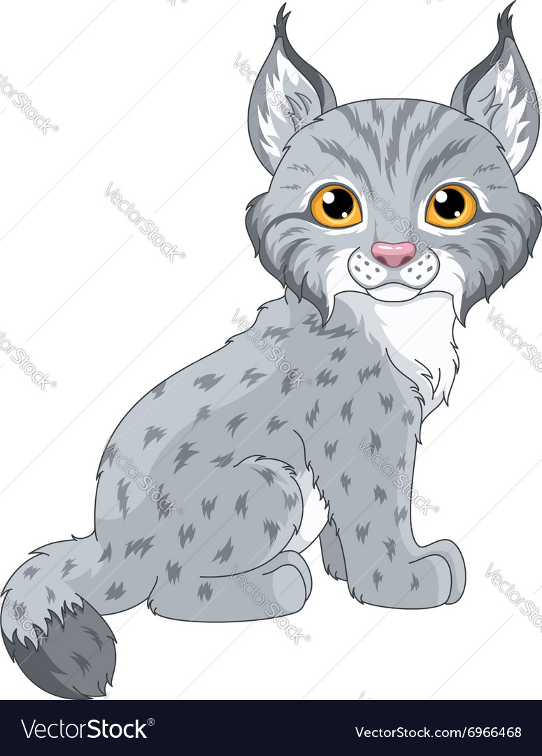 Lynx Royalty Free Vector Image - VectorStock