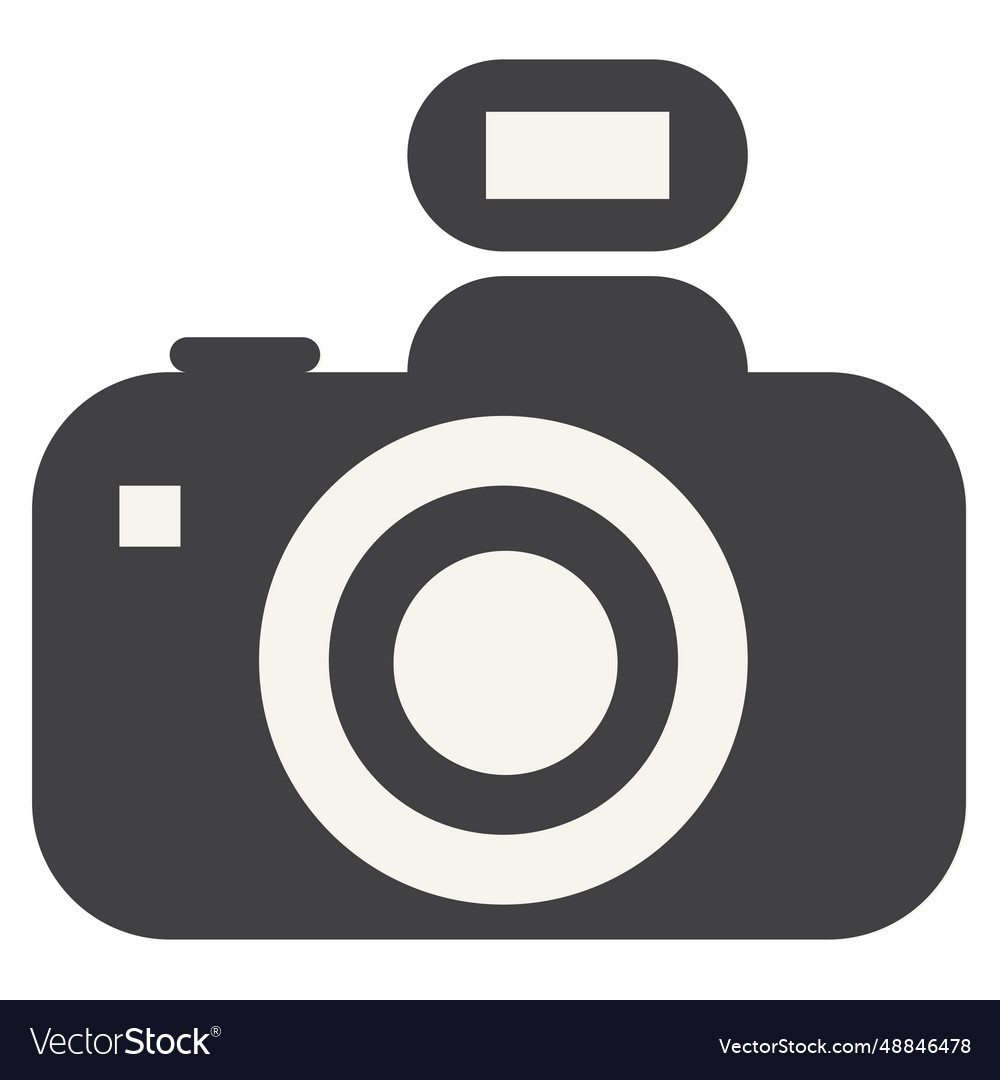 Flat camera icon with flash Royalty Free Vector Image