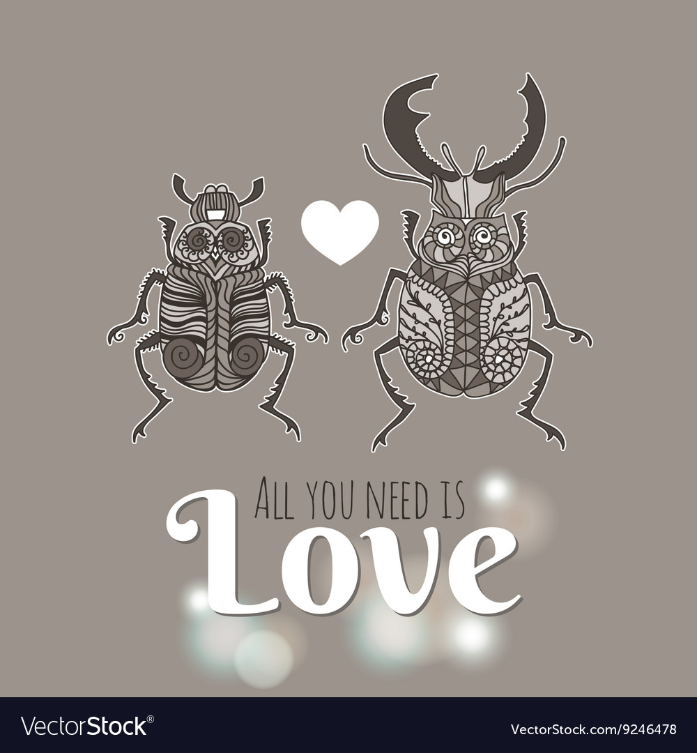 Insects stag beetle Royalty Free Vector Image - VectorStock
