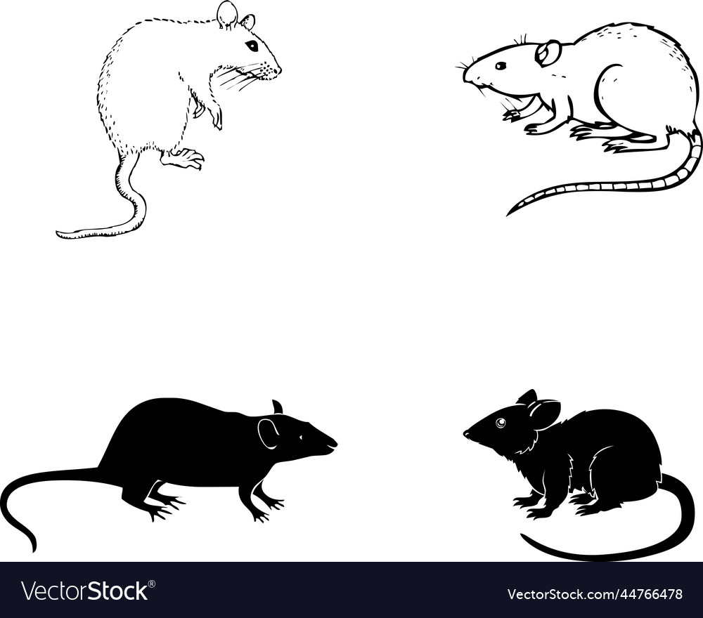 Set of rat icon Royalty Free Vector Image - VectorStock