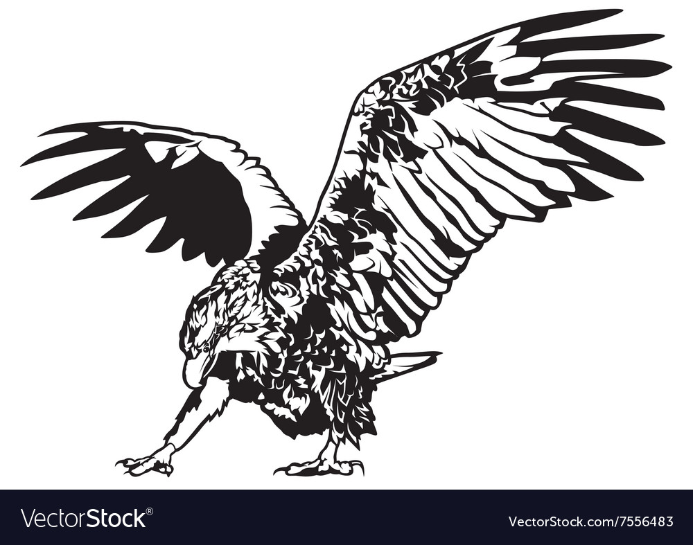 Eagle Royalty Free Vector Image - VectorStock