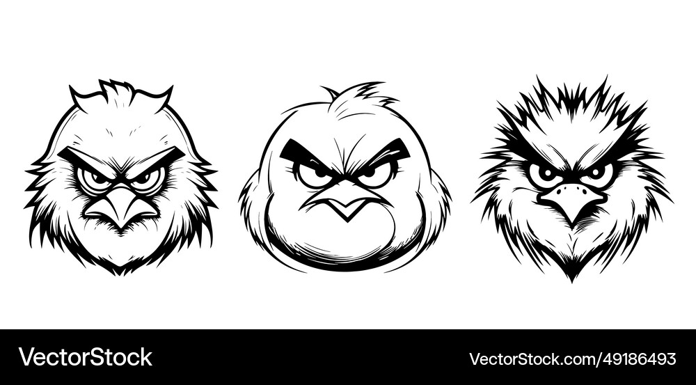 Angry birds hand drawn sketch in comic style Vector Image