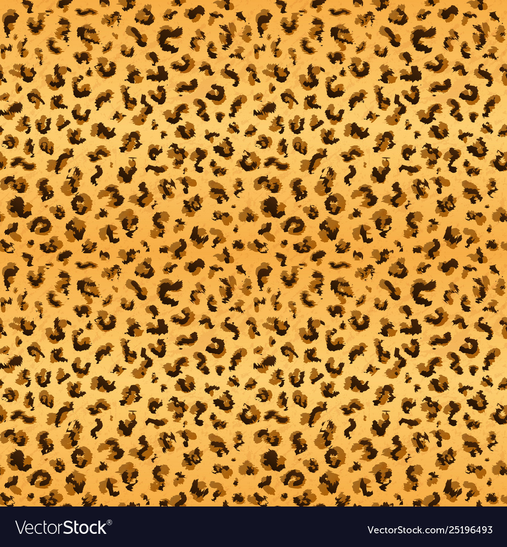 Leopard pattern design Royalty Free Vector Image