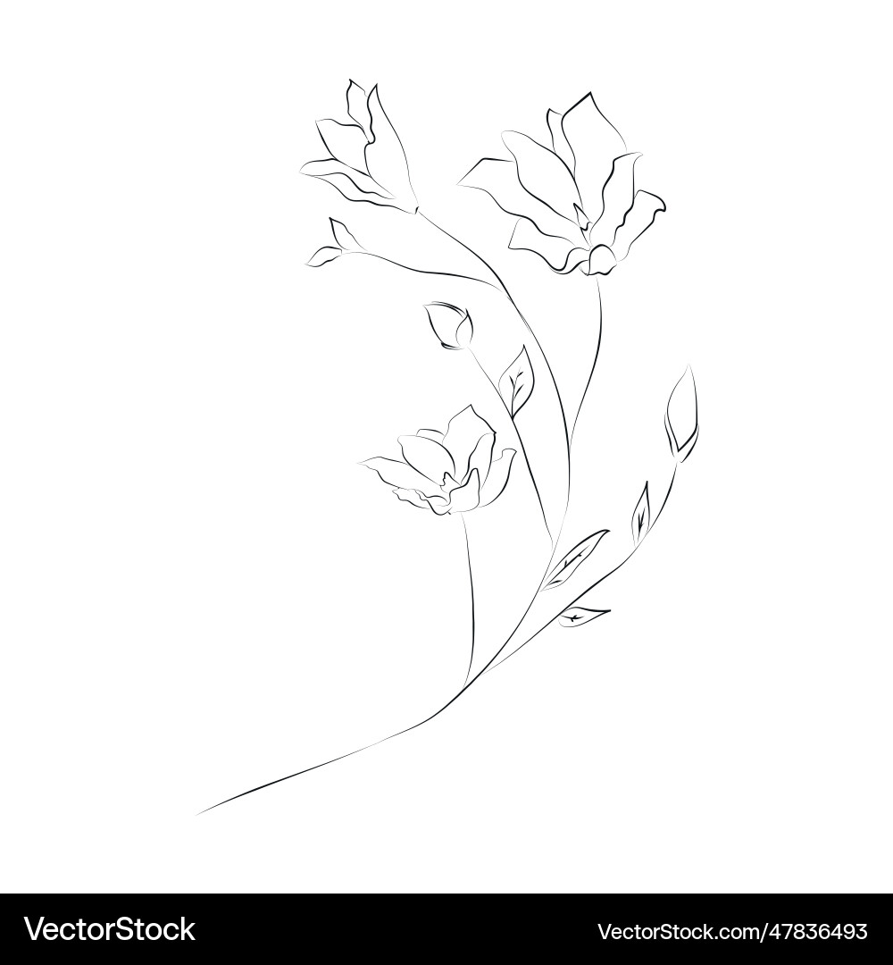 Line drawing botanical wreath herbs and florals Vector Image