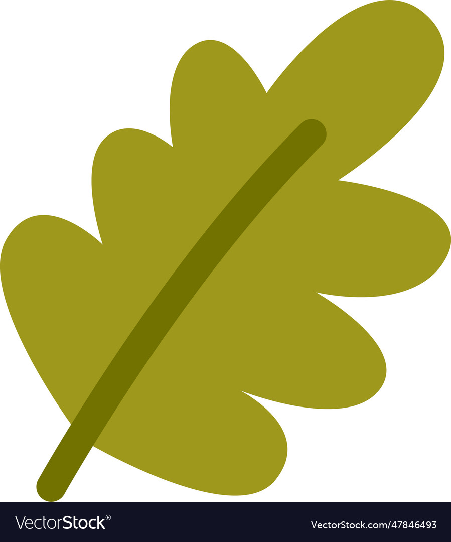 Oak tree leaf Royalty Free Vector Image - VectorStock