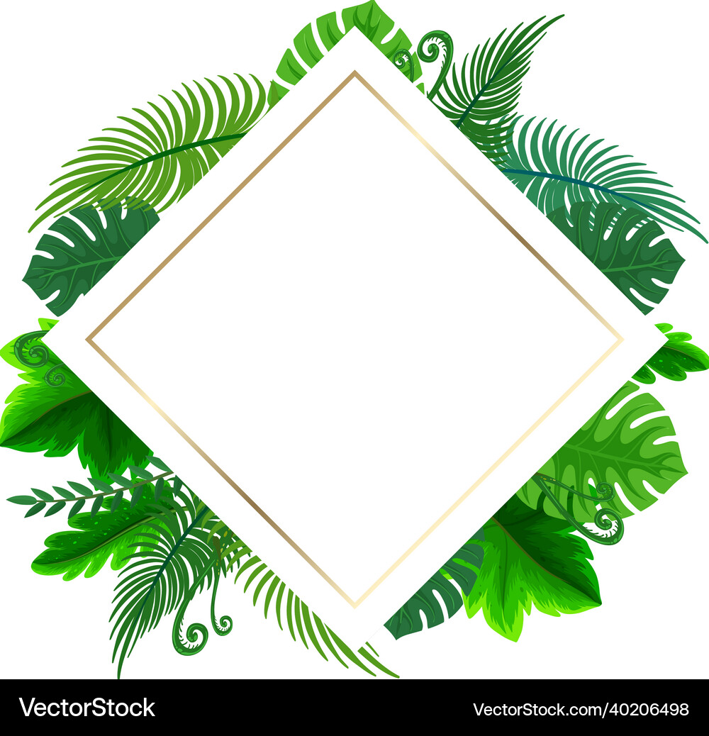 Rotated square frame with tropical green leaves Vector Image