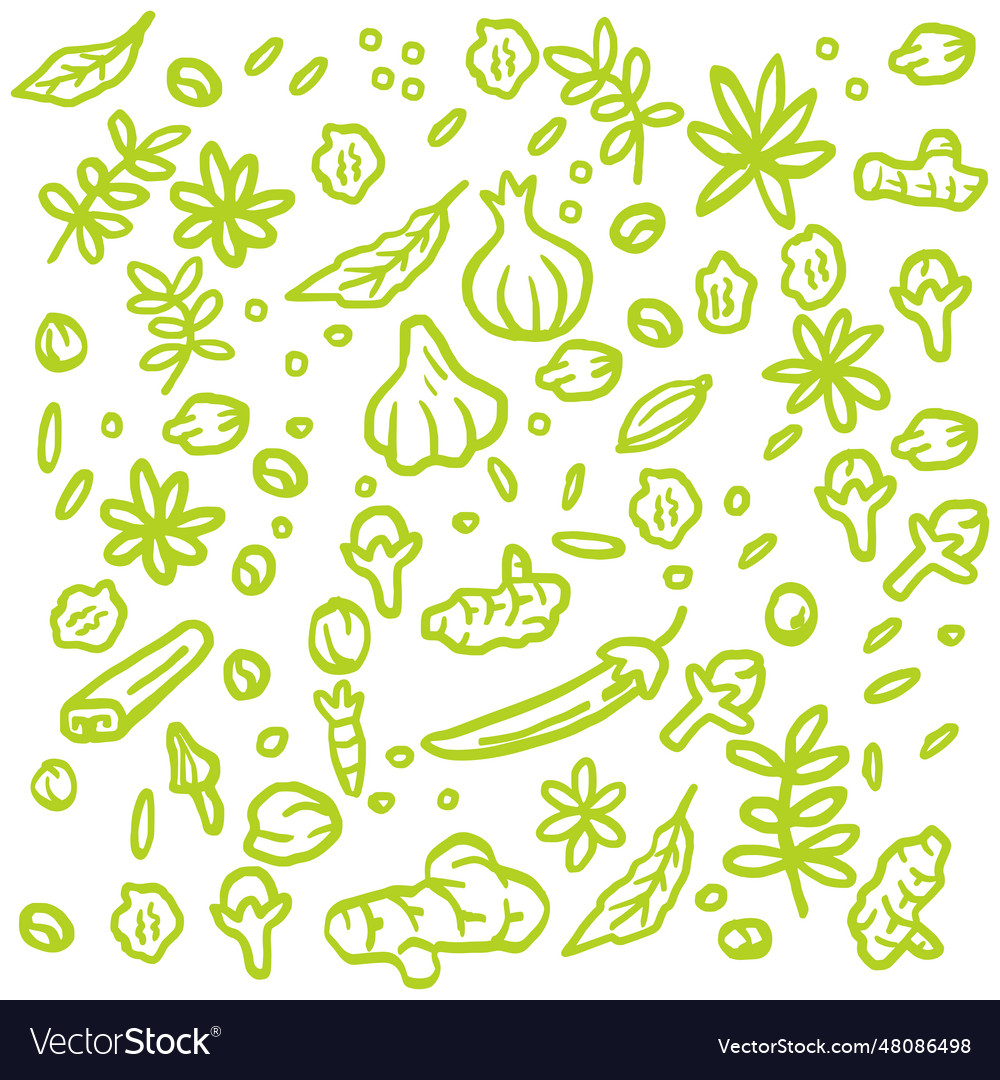 Spices herbs seamless pattern hand drawn Vector Image