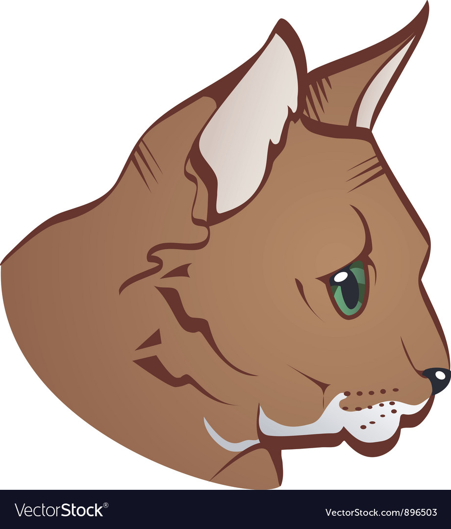 Cats face Royalty Free Vector Image - VectorStock