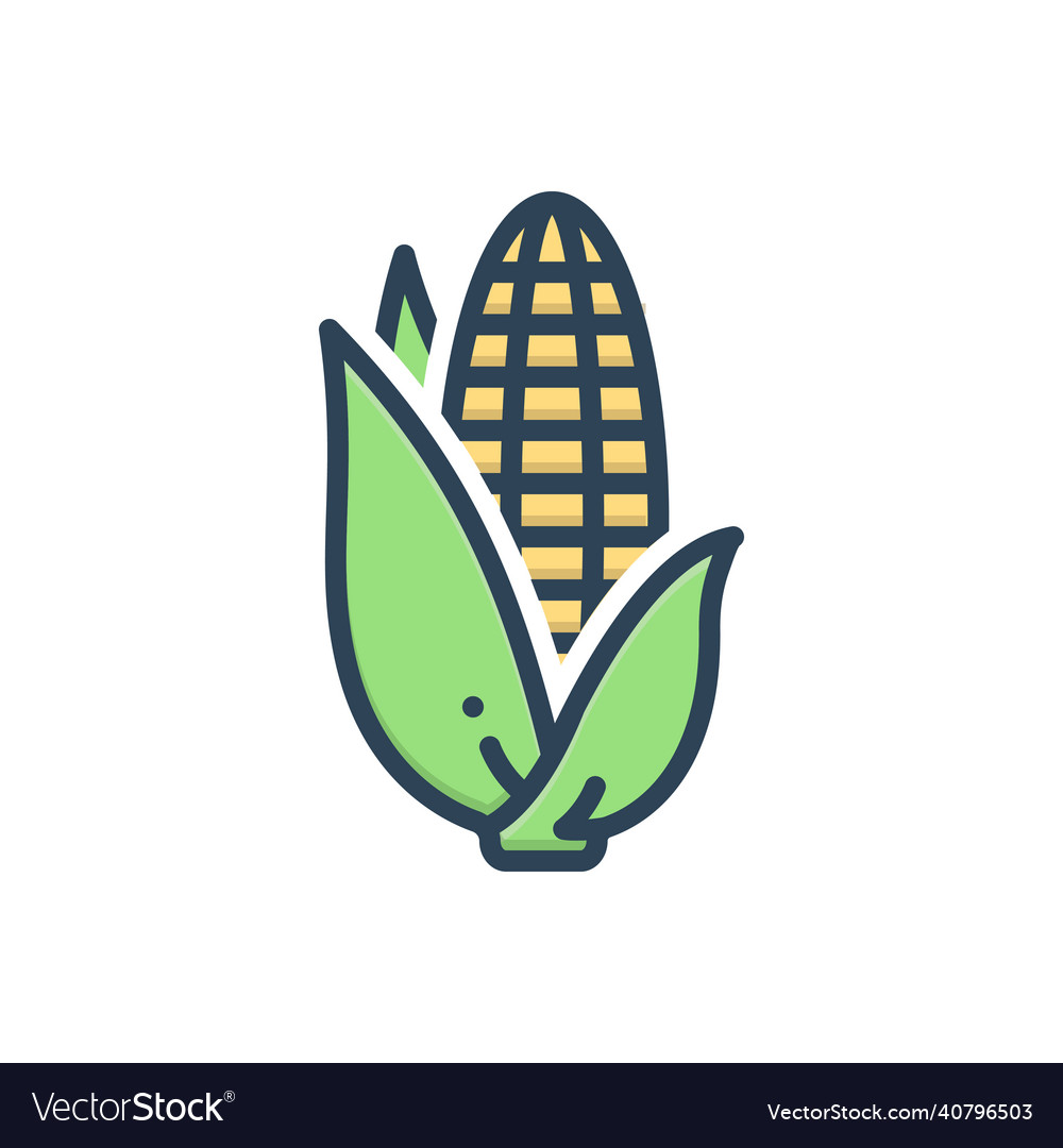 Corn Royalty Free Vector Image - VectorStock