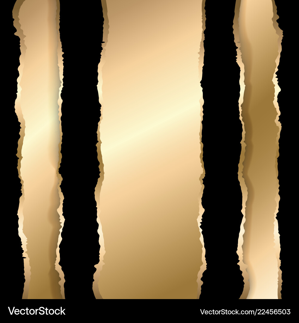 Gold and black torn paper template background Vector Image