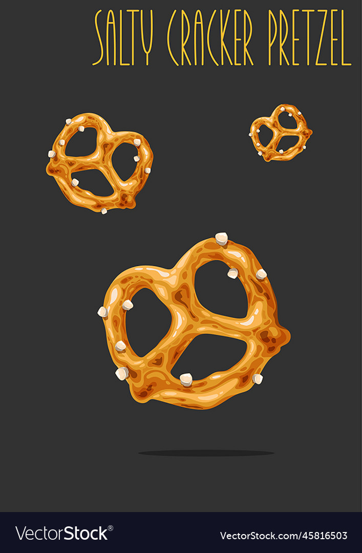Salty cracker pretzel Royalty Free Vector Image
