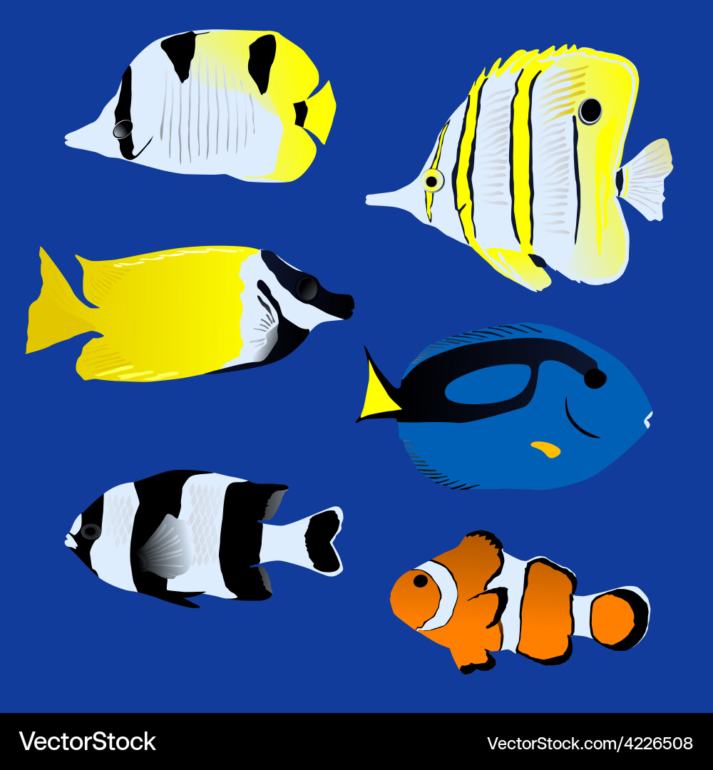 Aquarium great tropical fish collection Royalty Free Vector