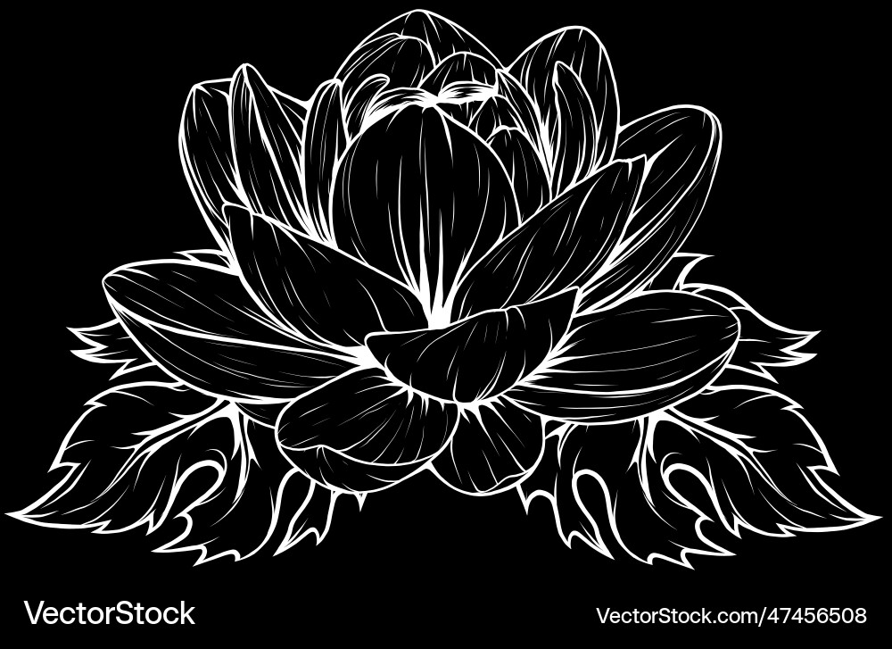 Lotus flower in white line Royalty Free Vector Image