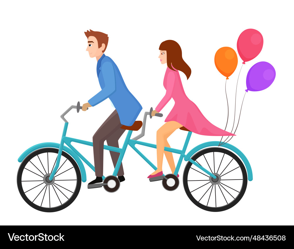 Lovely couple on bicycle Royalty Free Vector Image