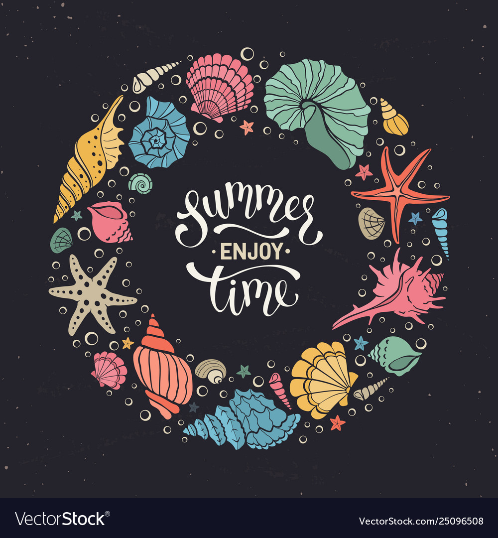Sea shells Royalty Free Vector Image - VectorStock