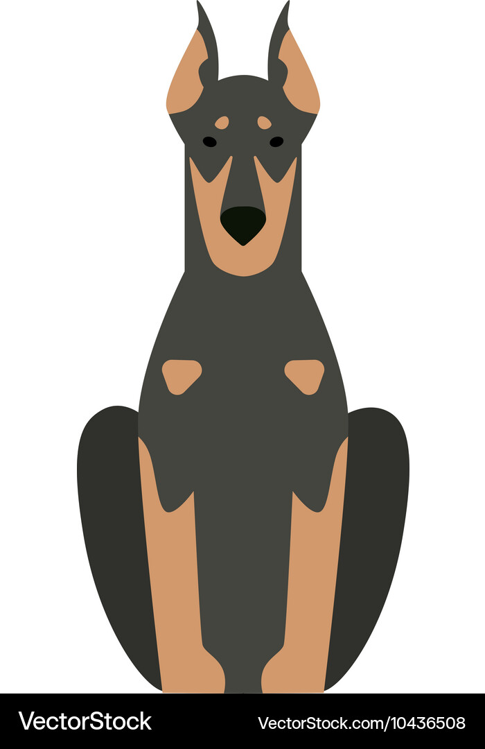 Shepherd retriever dog animal Royalty Free Vector Image