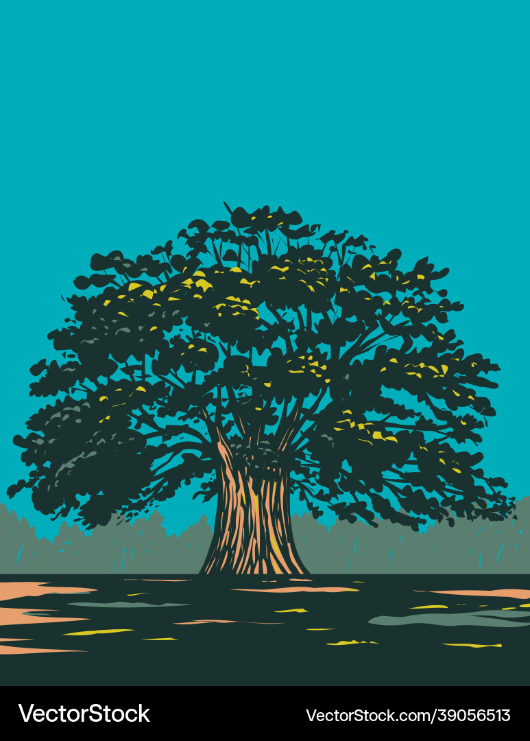 Centuries old balete tree balite or baliti from Vector Image