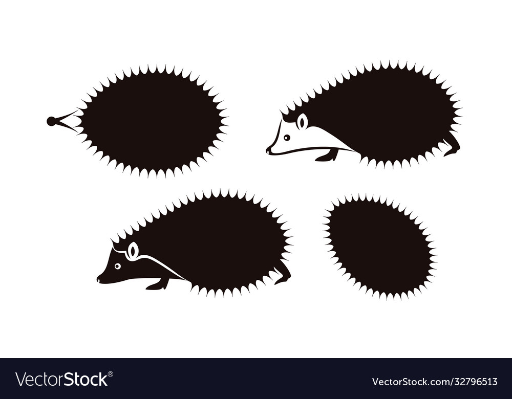 Hedgehog Royalty Free Vector Image - VectorStock