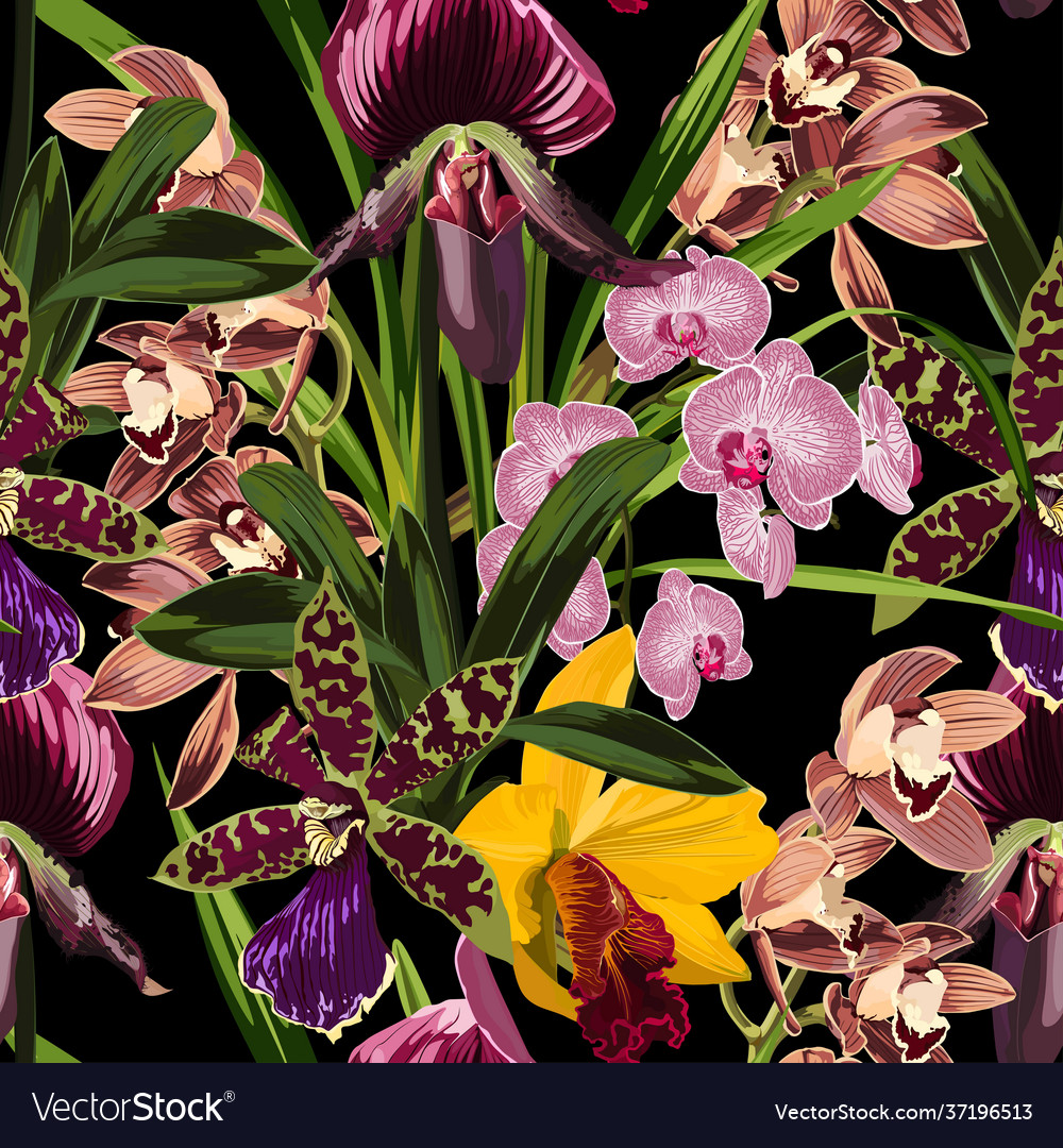 Orchids Flowers Seamless Pattern Royalty Free Vector Image