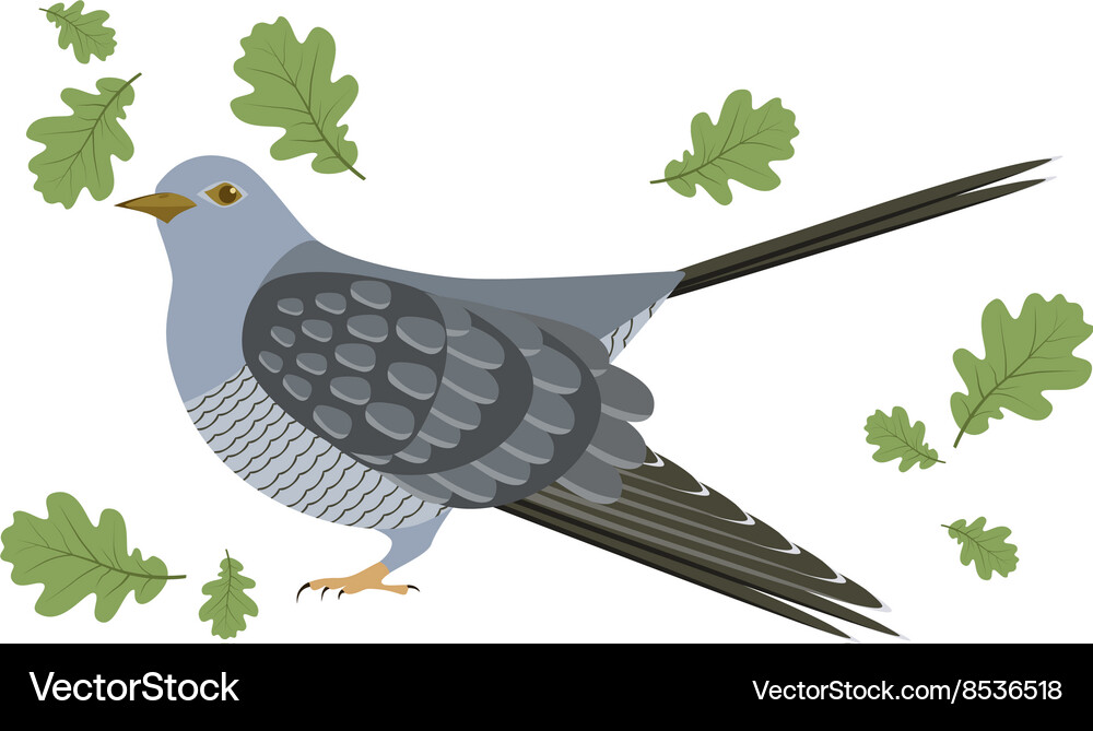 Cuckoo Bird Artwork Royalty Free Vector Image - VectorStock