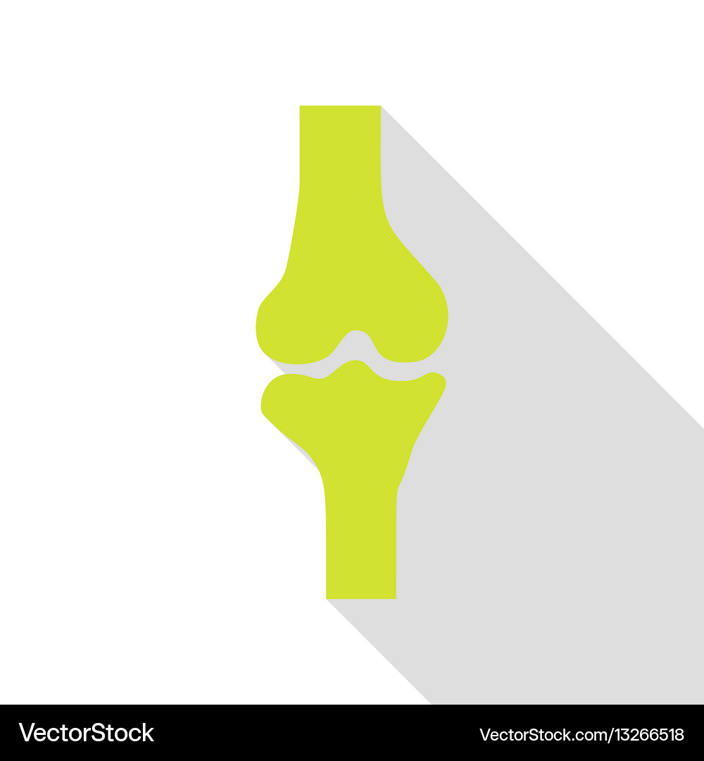 Knee joint sign pear icon with flat style shadow Vector Image