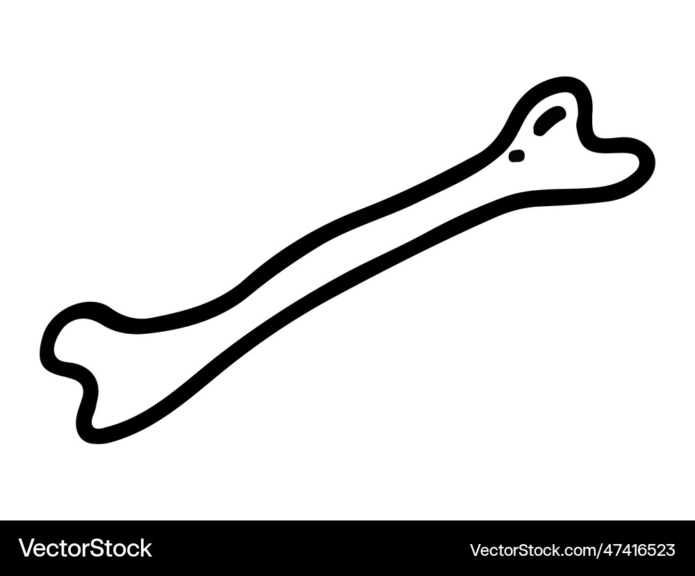 Isolated bone in doodle style Royalty Free Vector Image