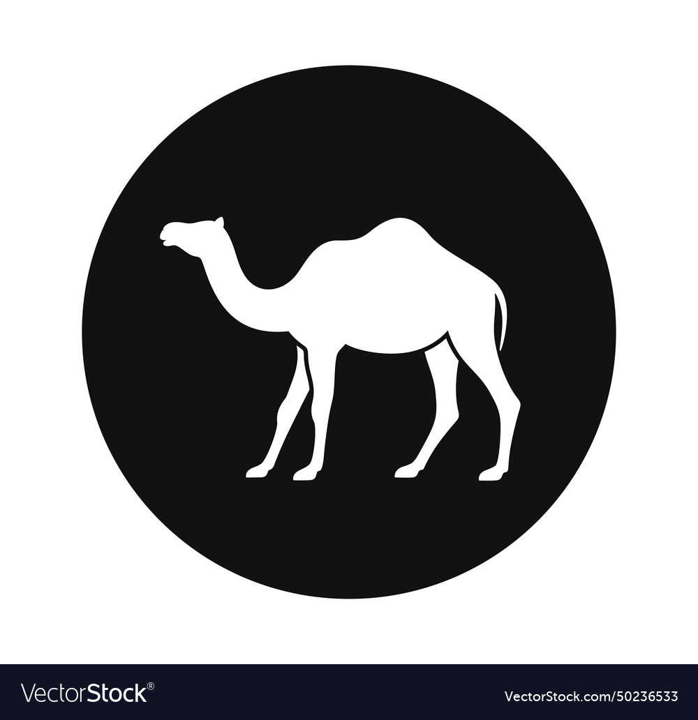 Camel Royalty Free Vector Image - VectorStock