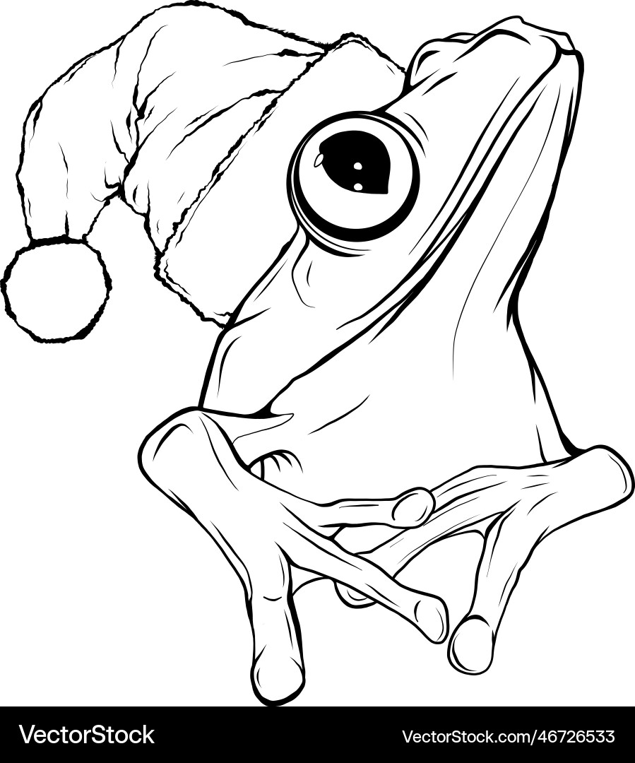Monochrome cute frog with christmas hat Royalty Free Vector